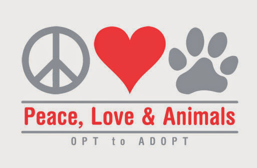 peace, love, pets and basketball