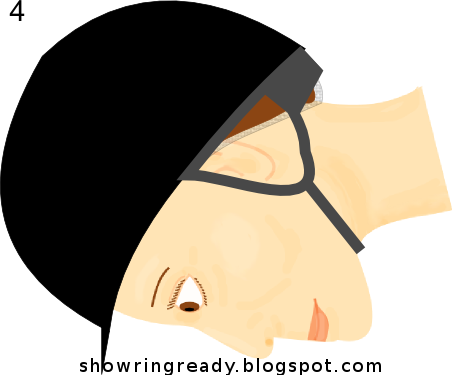 Show Ring Ready: Hunter Hair Explained