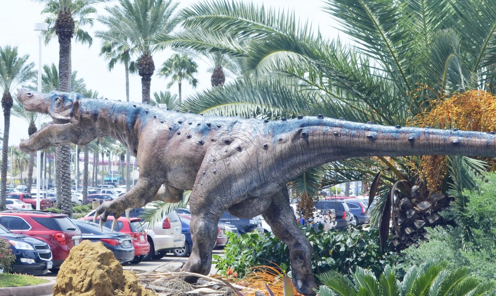 New Adventures - Moving... Visiting... going south : Discovery Road ...