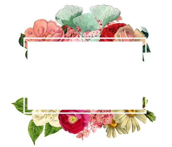 Kit De Etiquetas Escolares Imprimibles Flores Kits Imprimibles En Images