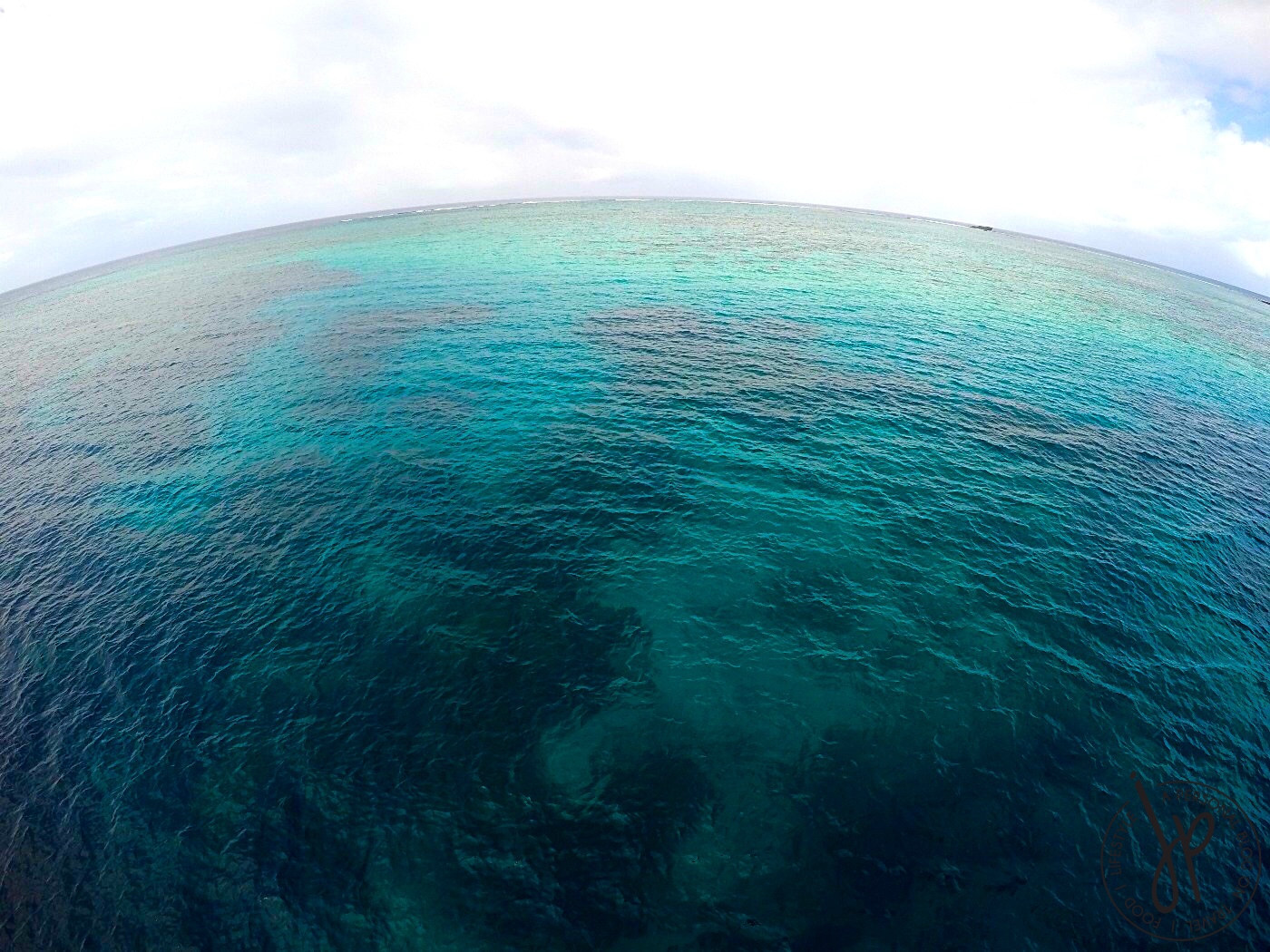 Is Fish Eye Marine Park Worth the Visit? - Jena Pastor | Travel, Food ...