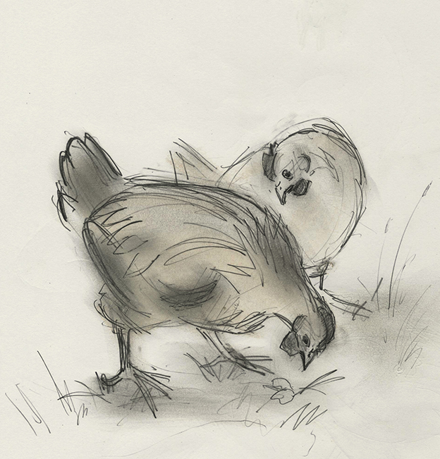 Drawing and Illusion: Pretty Chickens and Soldiers