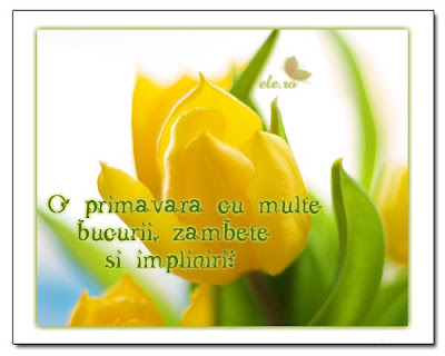 Alina Iuonas: O primavara frumoasa!