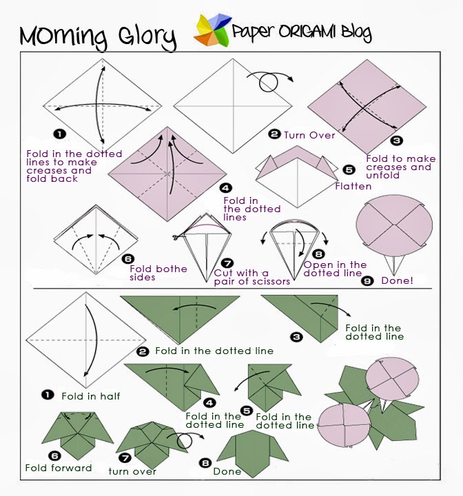 Flowers Origami: Morning Glory | Paper Origami Guide