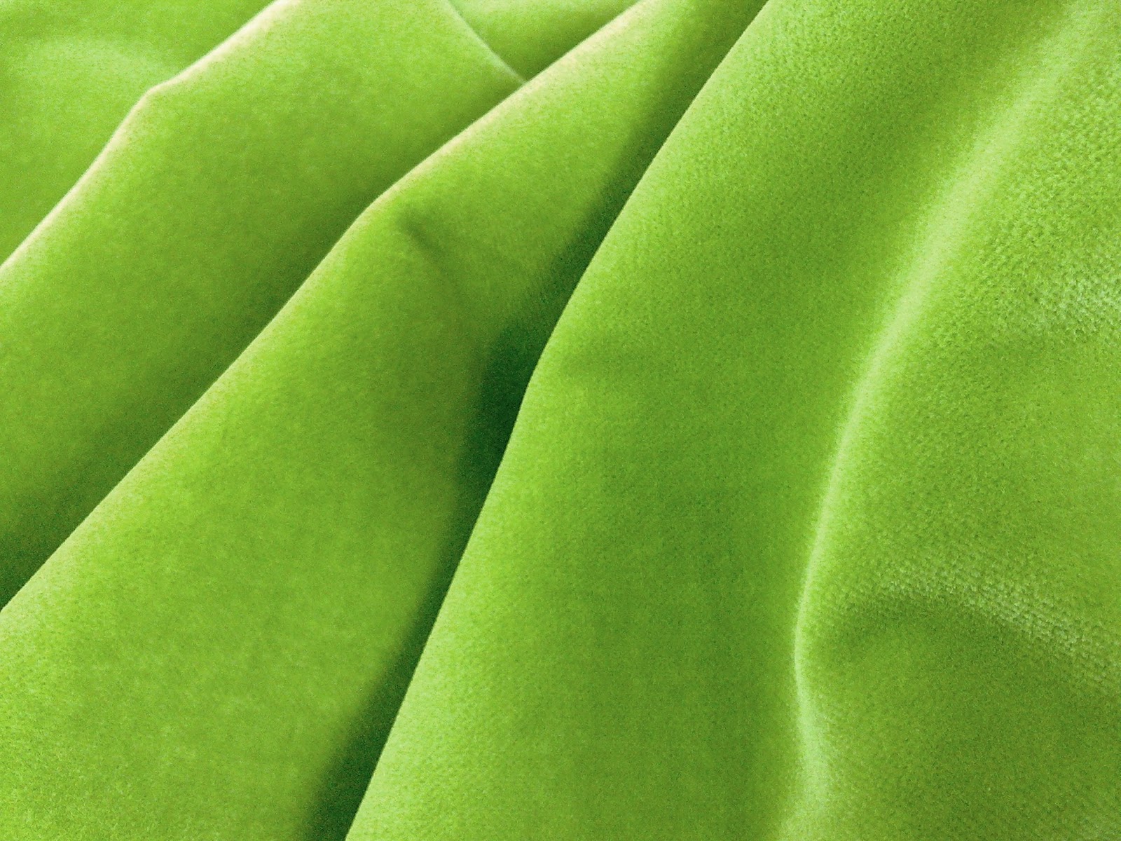 AUTOTEX ROMANIA: CATIFEA VERNIL