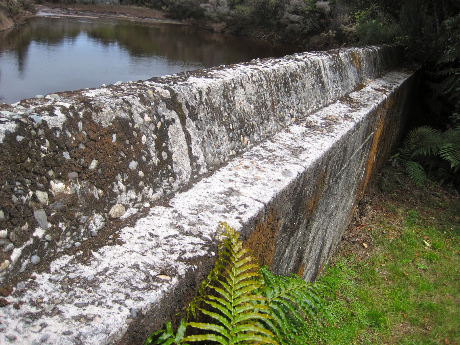 Carolyn in Aotearoa: The Mines of Millerton (Yes, Millerton, not Moria)