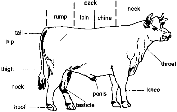 Sekilas Pandang.. Seribu Makna