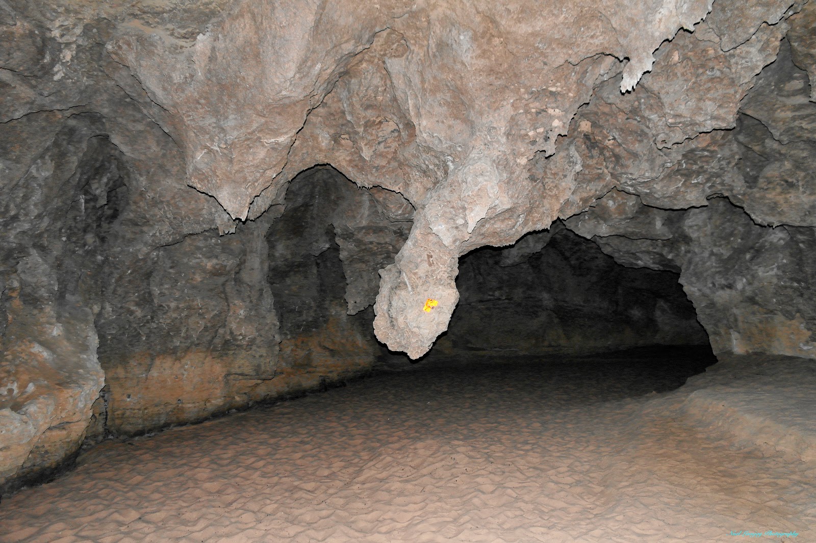 Can Go Around Australia: Dandaragan Shire, WA.