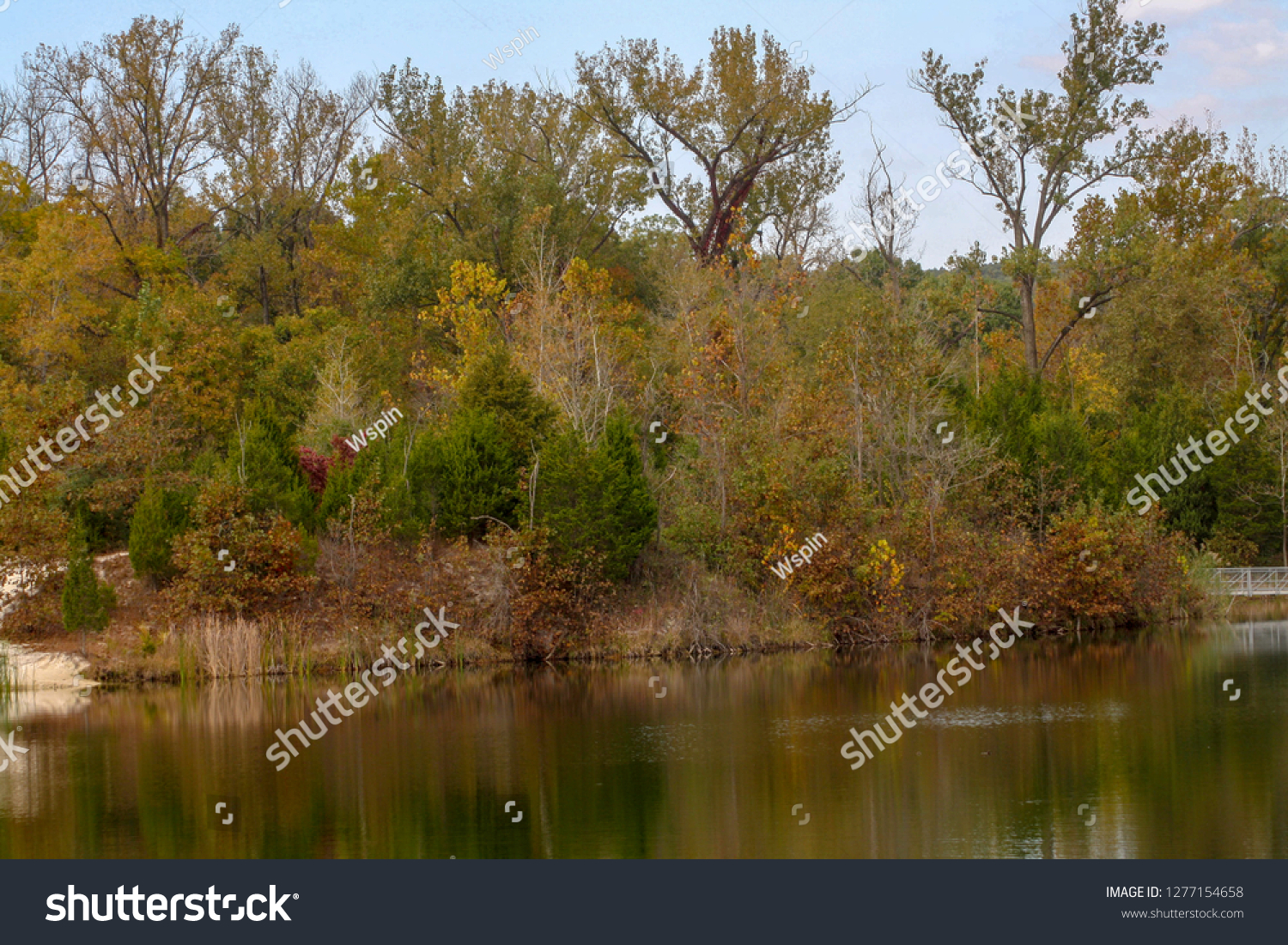 Autumn Colored Trees Bordering a Pond in Augusta Missouri - Image