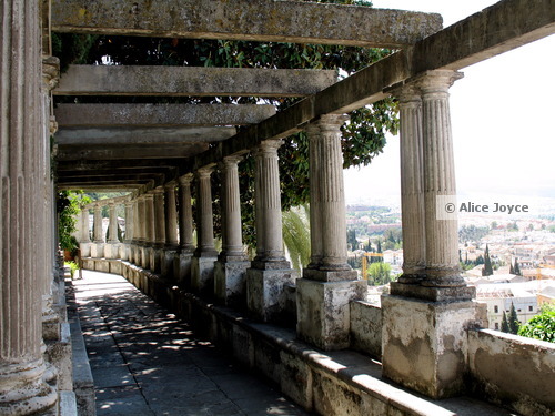 Bay Area Tendrils: Elementary! Arbor .. Pergola .. Loggia .. Colonnade