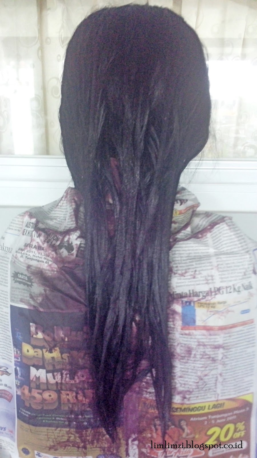 [REVIEW] Cat Rambut Feves Color Cream 5.8 Purple Red - pyramid | limaszi