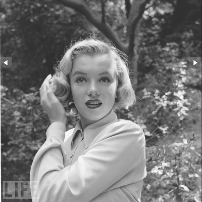 celebrity news and gossips