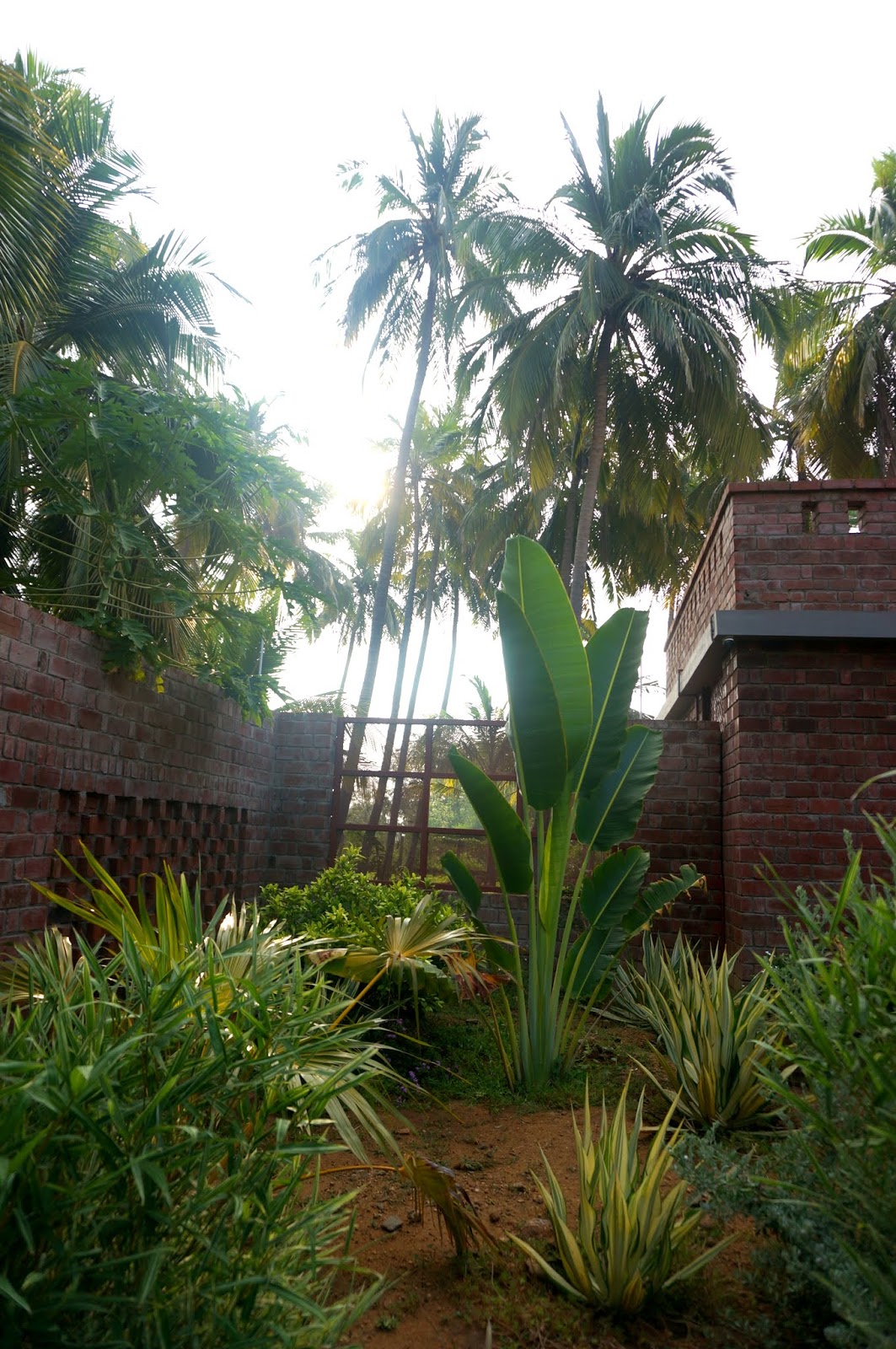 2 Weeks in India | 72 hours in Alwarkurichi & Video Diary