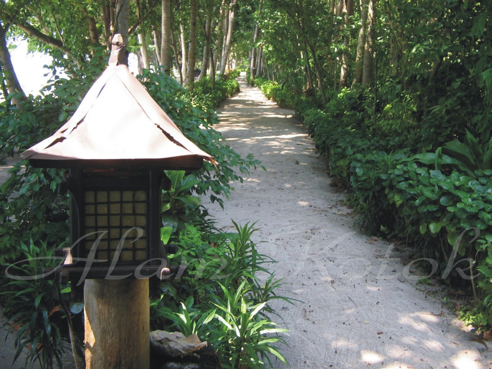 TRAVELLING: Kotok Island