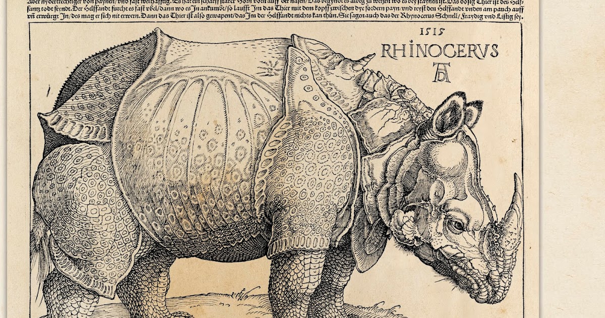 Sombradehormiga: El rinoceronte de Durero