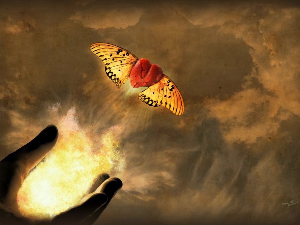 Butterfly 73: Simbolismo de la Mariposa