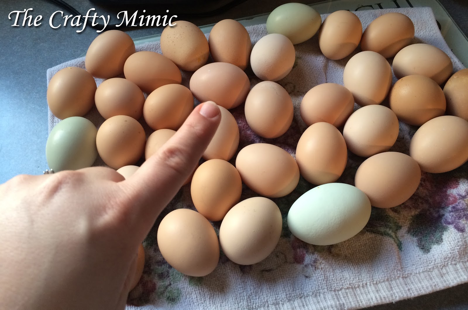 The Crafty Mimic: EGGSperiments!