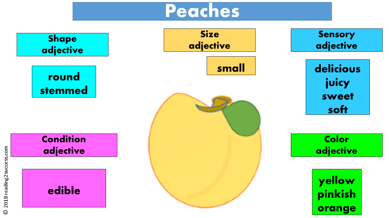 Reading2success: Introduce shape, size, sensory, condition and color ...