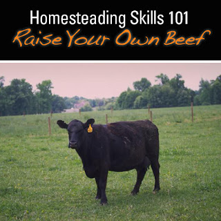 The Home Front: Raising Your Own Beef