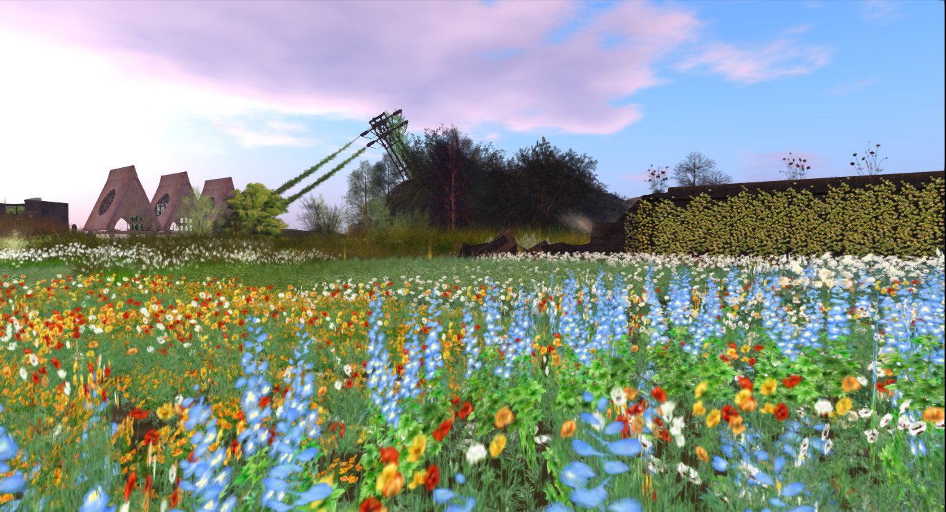 Virtual Dream & Travel: Flower Field