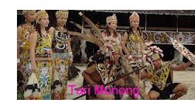 Tarian: Tarian Tradisional Dari Kalimantan Barat