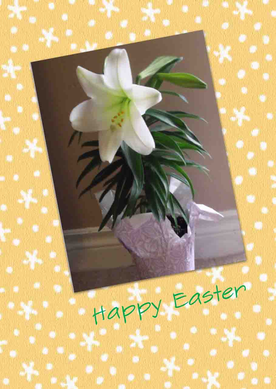 Snap and Chat: Easter Cards