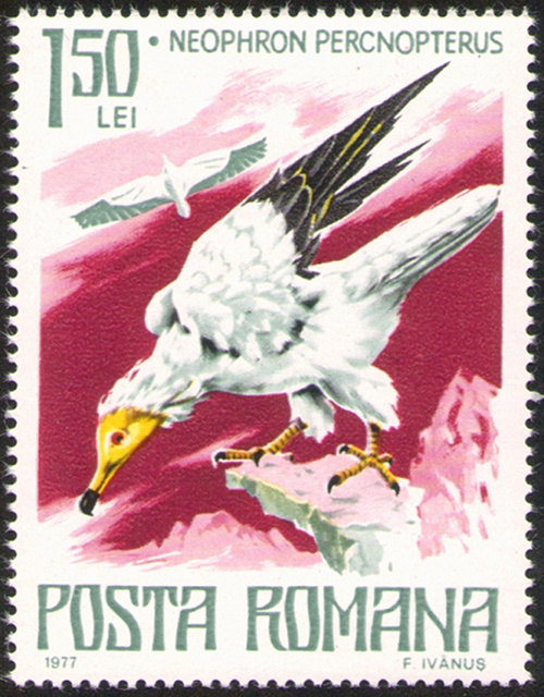 Timbre filatelice: Timbre filatelice-animale si pasari ocrotite in Romania