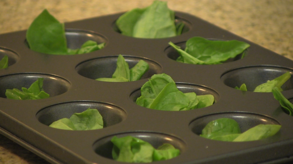 Egg White Muffin Bites Recipe | Buff Dudes