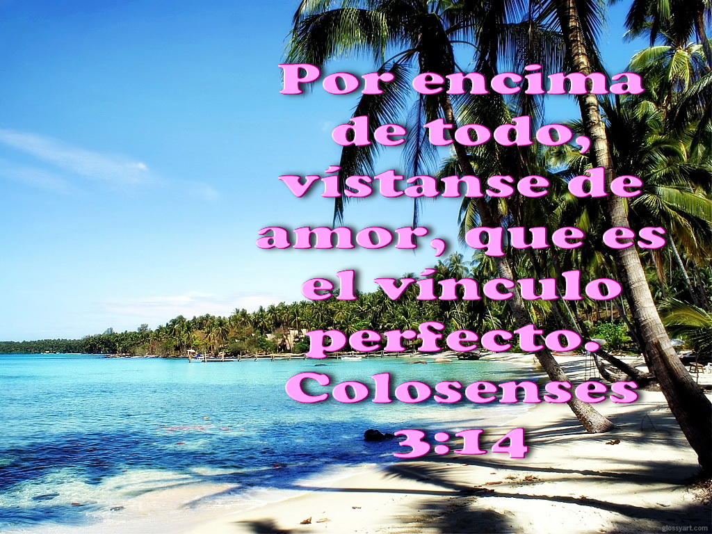 Biblia, paisajes y maravillas: Colosenses 3:14