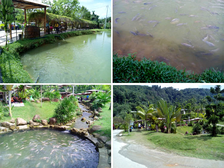 Some stories about us: Refarm, A Good Place for Short Rejuvenation in ...