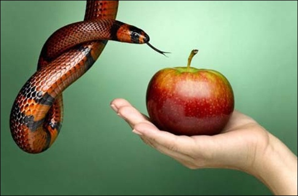 5 manias que muitas pessoas tem | Fuxico Da Rede