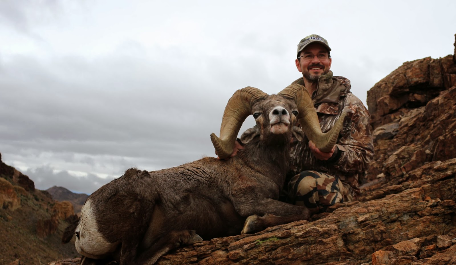 Jay Scott Outdoors: Terry Lancaster's Arizona Desert Bighorn Sheep Hunt ...