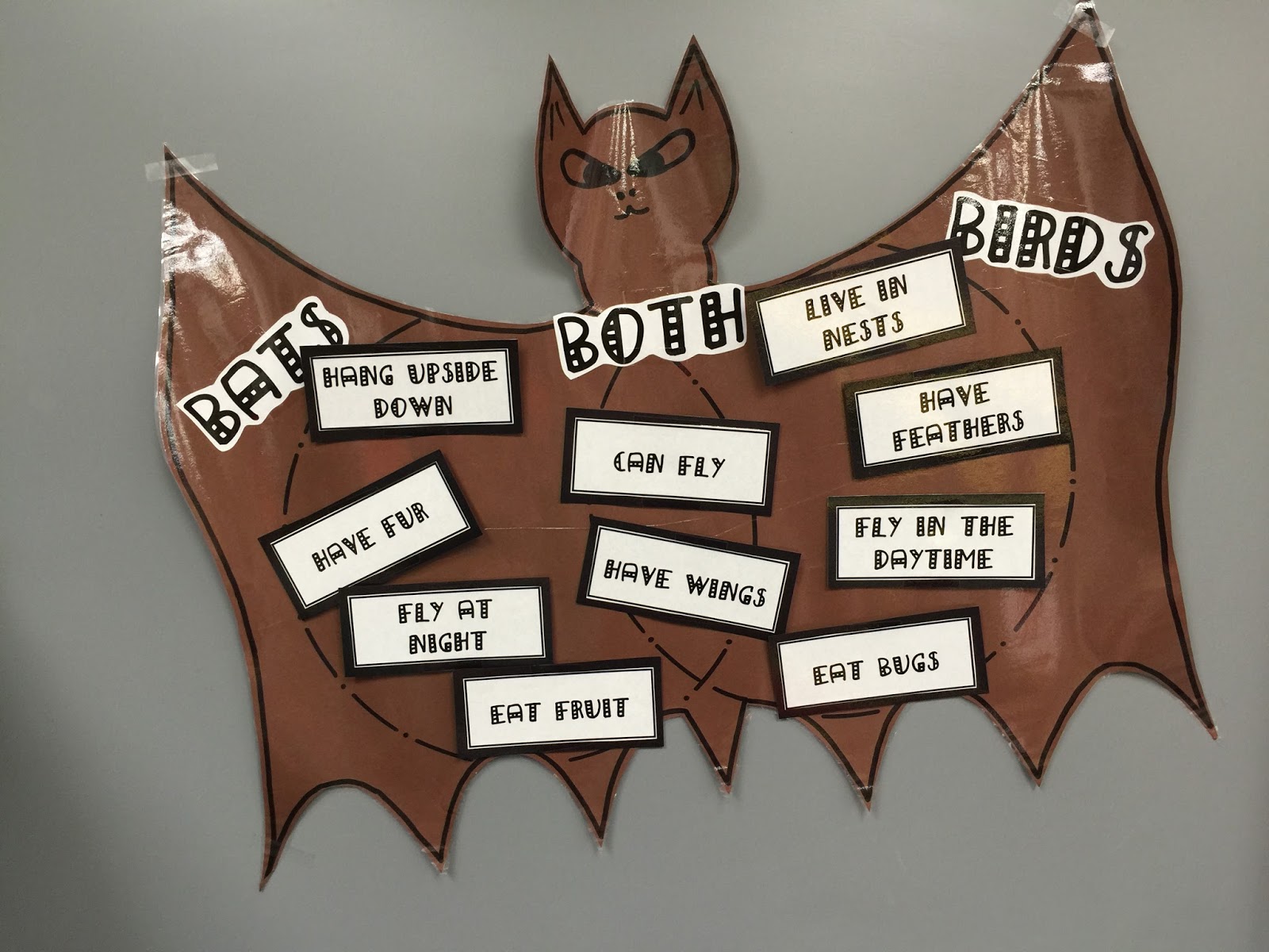 Teaching With Terhune: Bat Unit