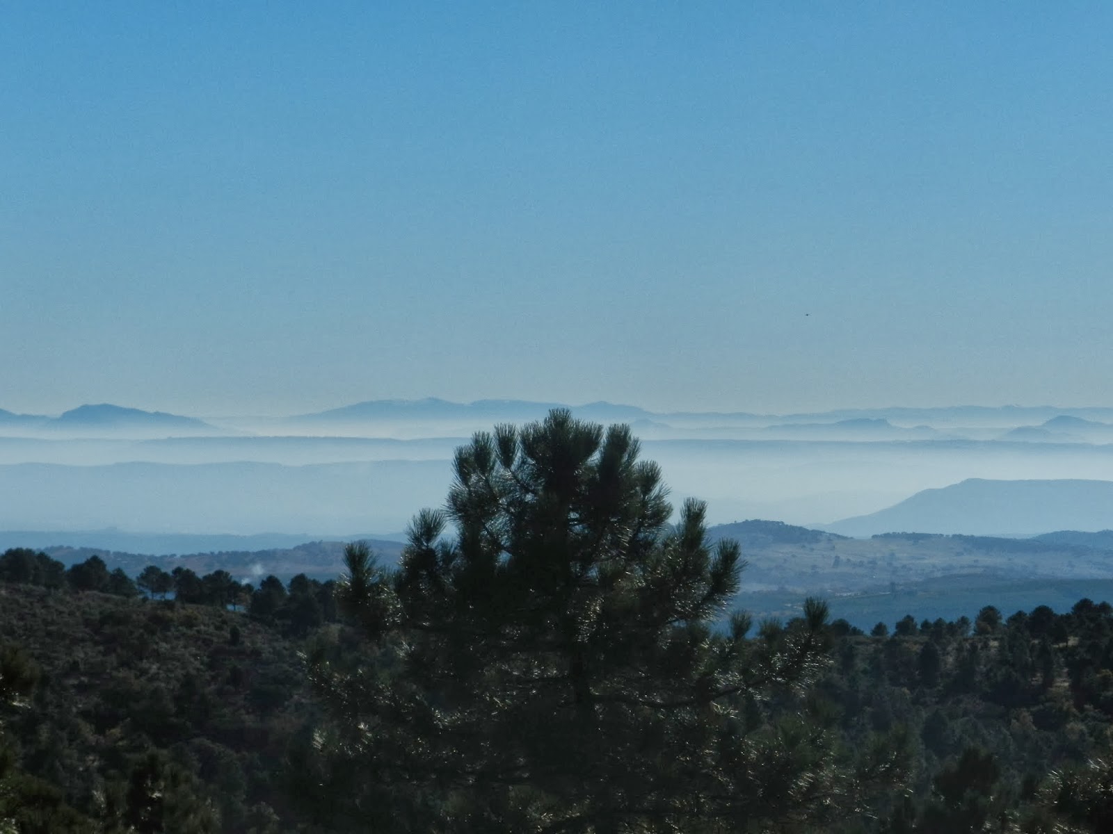 Felicidad que bonito nombre tienes: Ruta Miranda del Rey - Pico La Estrella