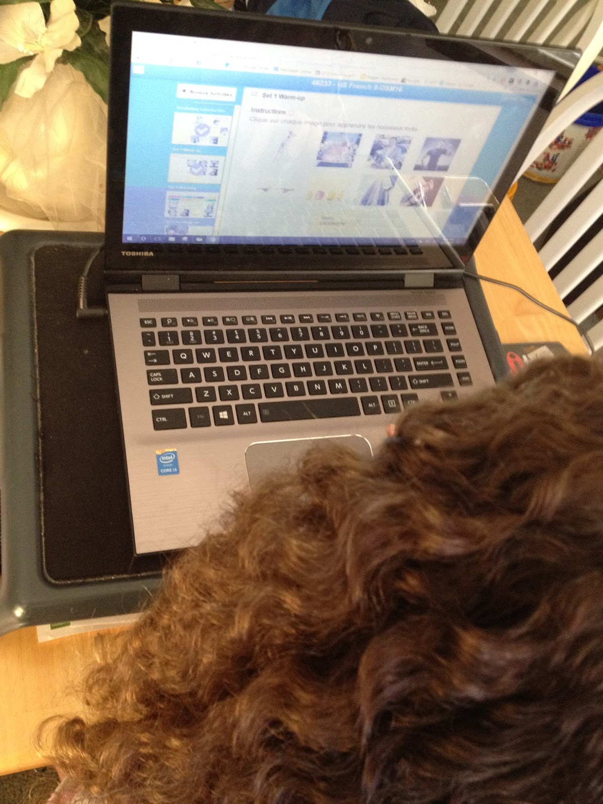 Puddle Jumping: Homeschool Review - High School French II Middlebury ...