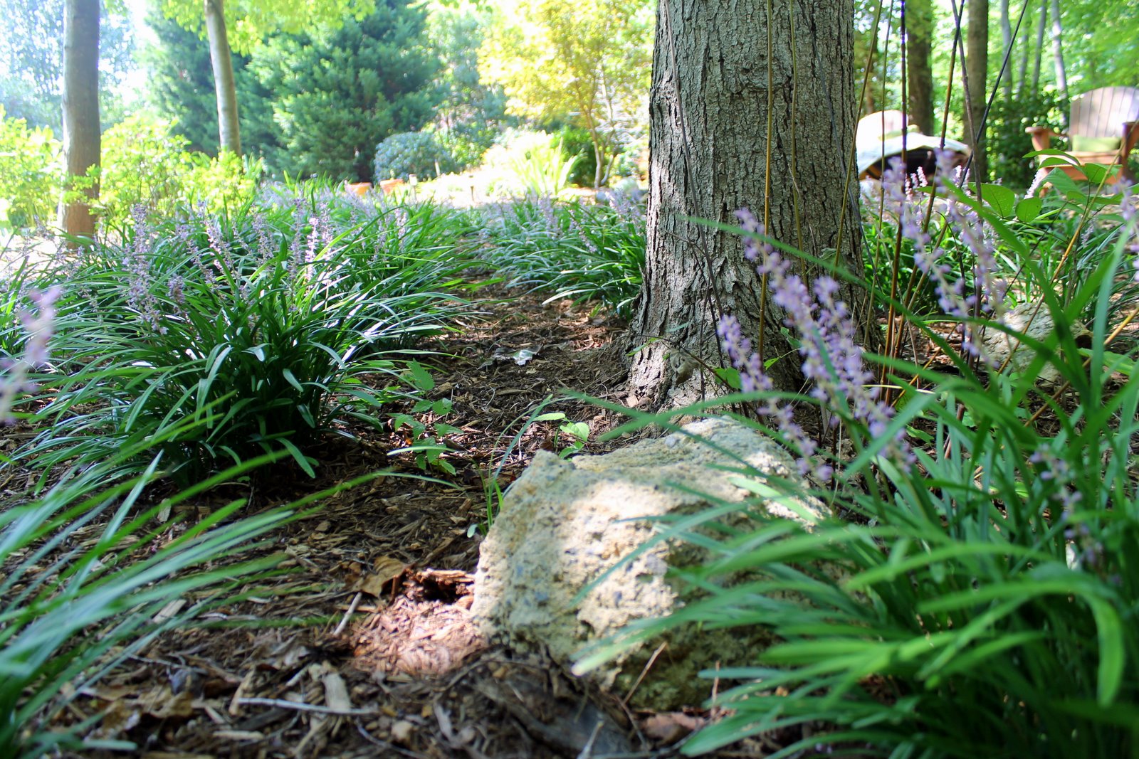 Hope you are staying cool today! our weather pattern is in a cooling ...