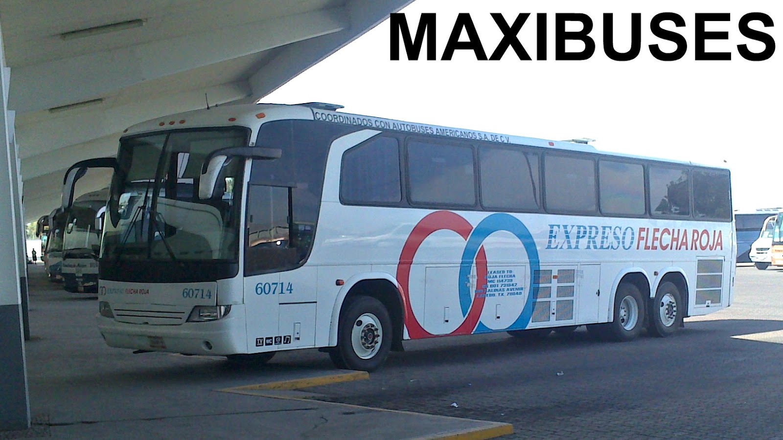 MAXIBUSES: COORDINADOS CON AUTOBUSES AMERICANOS, EXPRESO FLECHA ROJA