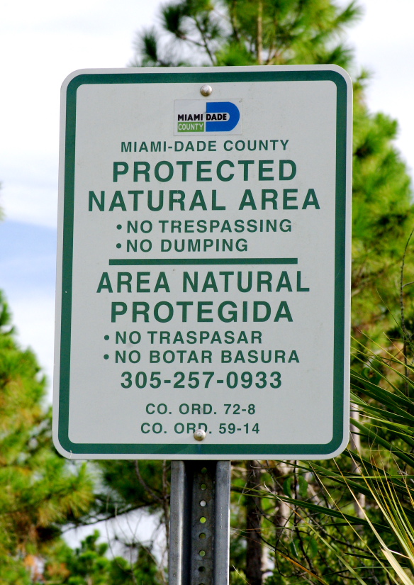 Rufino Osorio: South Florida Field Trip - Part 4