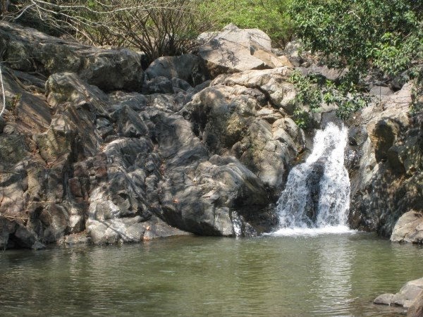 Tamilnadu Tourism: Kalrayan Hills