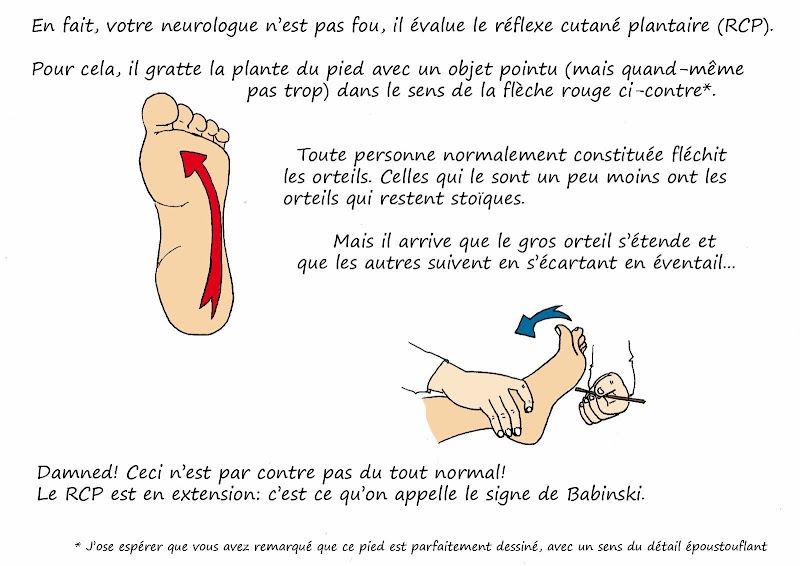 Le blog dessiné du docteur Neurone: La neurologie pour les nuls: le ...