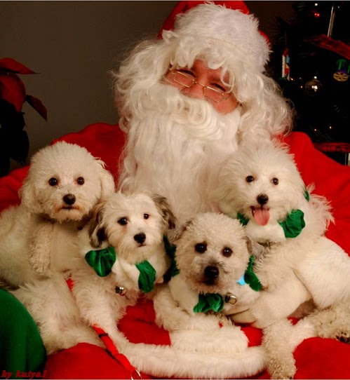 Cultures and Art in English: Santa Claus and some of his European ...