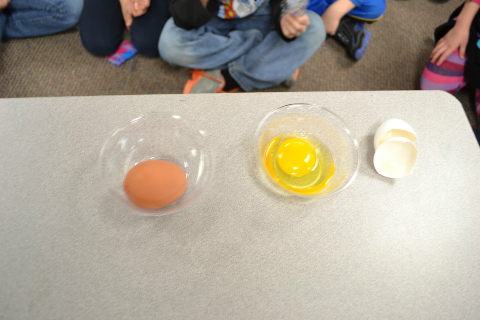 First Grade Funtastic: Martin Luther King Jr.