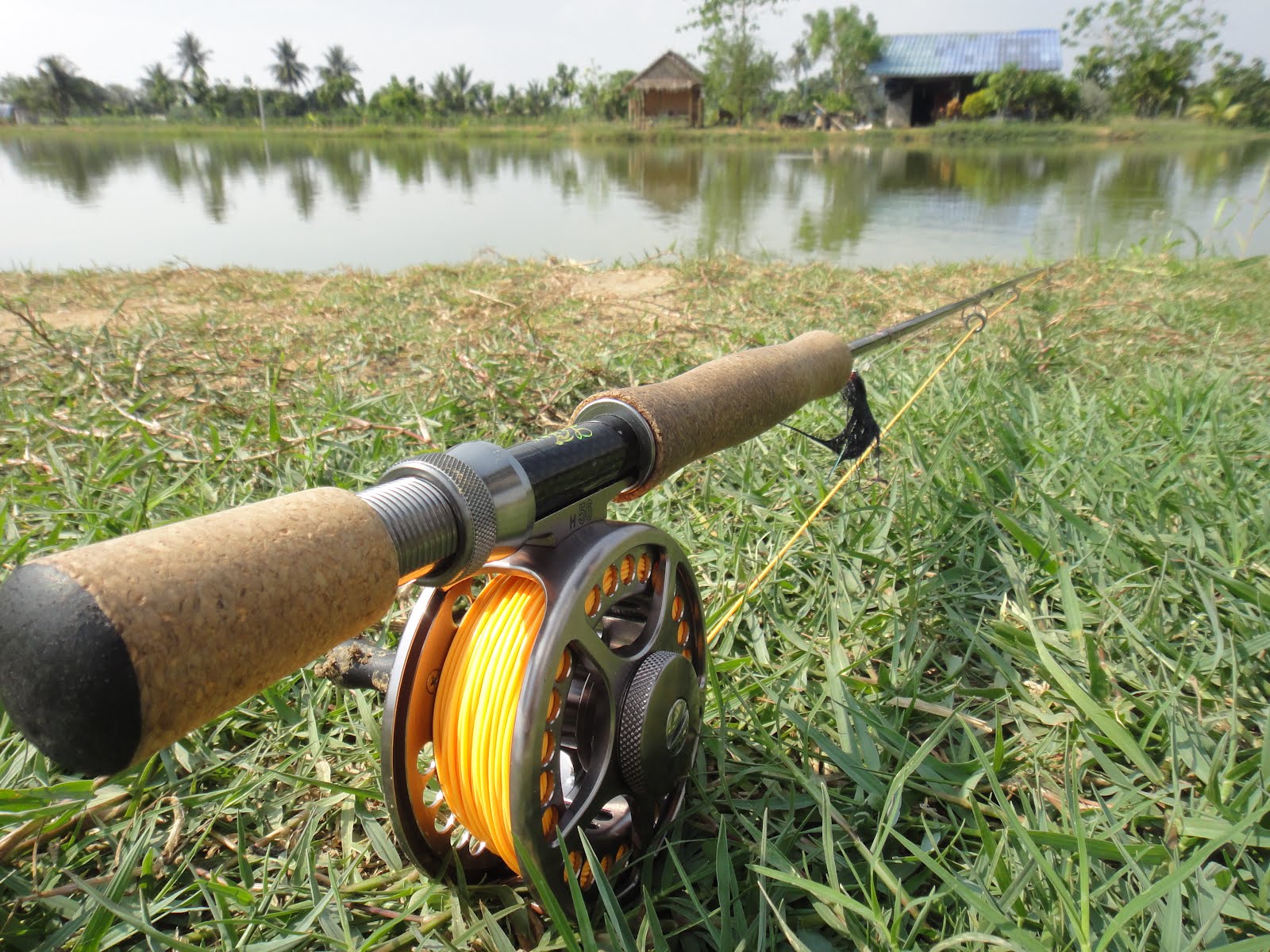 Thailand Giant Snakehead (Toman) And Wild Fishing.: 65KG Arapaima ...
