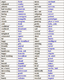 Learn French: french Adjectives