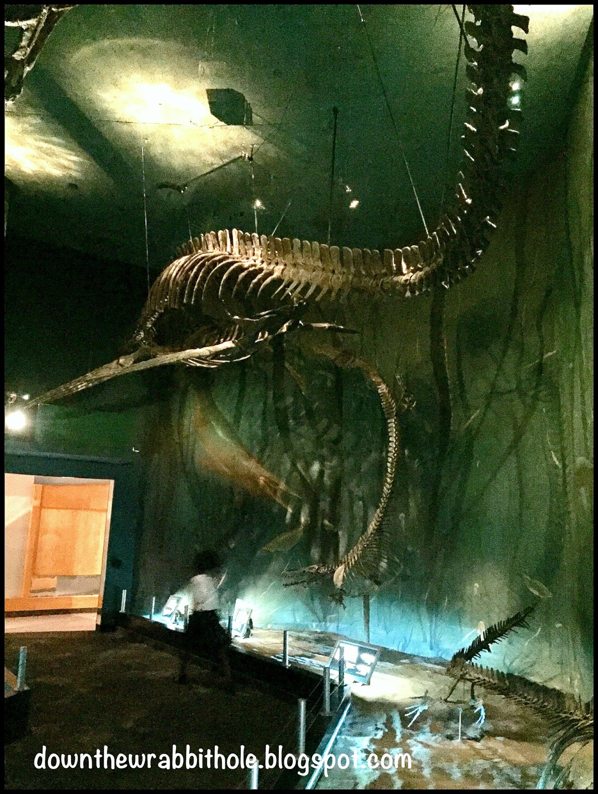 Down the Wrabbit Hole - The Travel Bucket List: The Royal Tyrrell ...