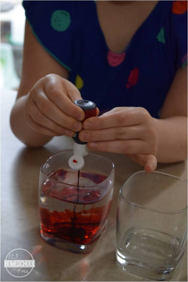 Capillary Action Science Experiment capillary-action-science-experiment