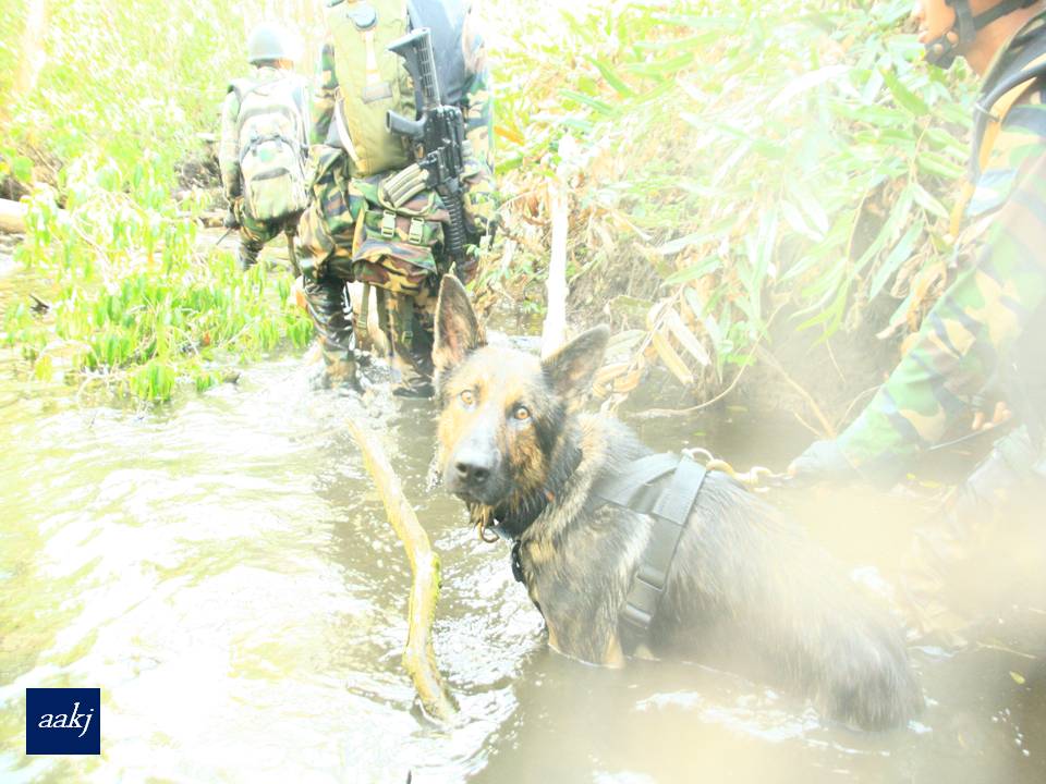 OPS DAULAT : EKSKLUSIF!!! Gambar2 Operasi Anjing Perang Mengesan Mayat ...