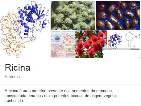 Intoxicações e mortes por Venenos Naturais : Ricina ,Saxitoxina ...