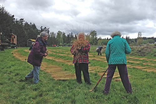 flax to linen victoria bc: Retting