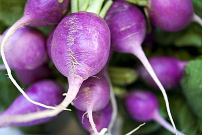 Guia para uma Alimentação Saudável: Os benefícios do rabanete